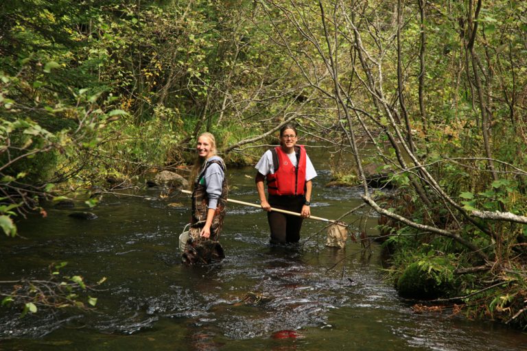Yellow Dog Watershed Preserve receives grant from Michigan Fly Fishing ...